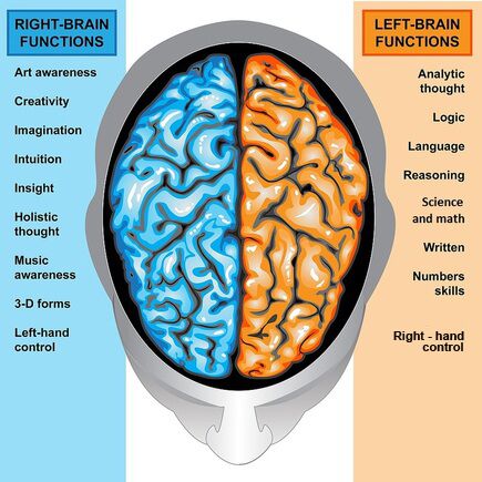 Hemispheres Of The Brain